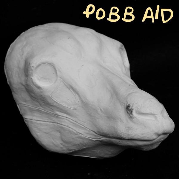 Pobb Aid 2022 - Pobb Aid