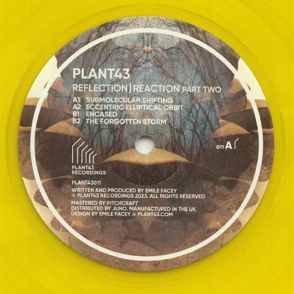 Reflection/Reaction Part Two - Plant43