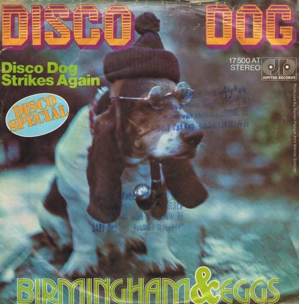 Disco Dog - Birmingham & Eggs