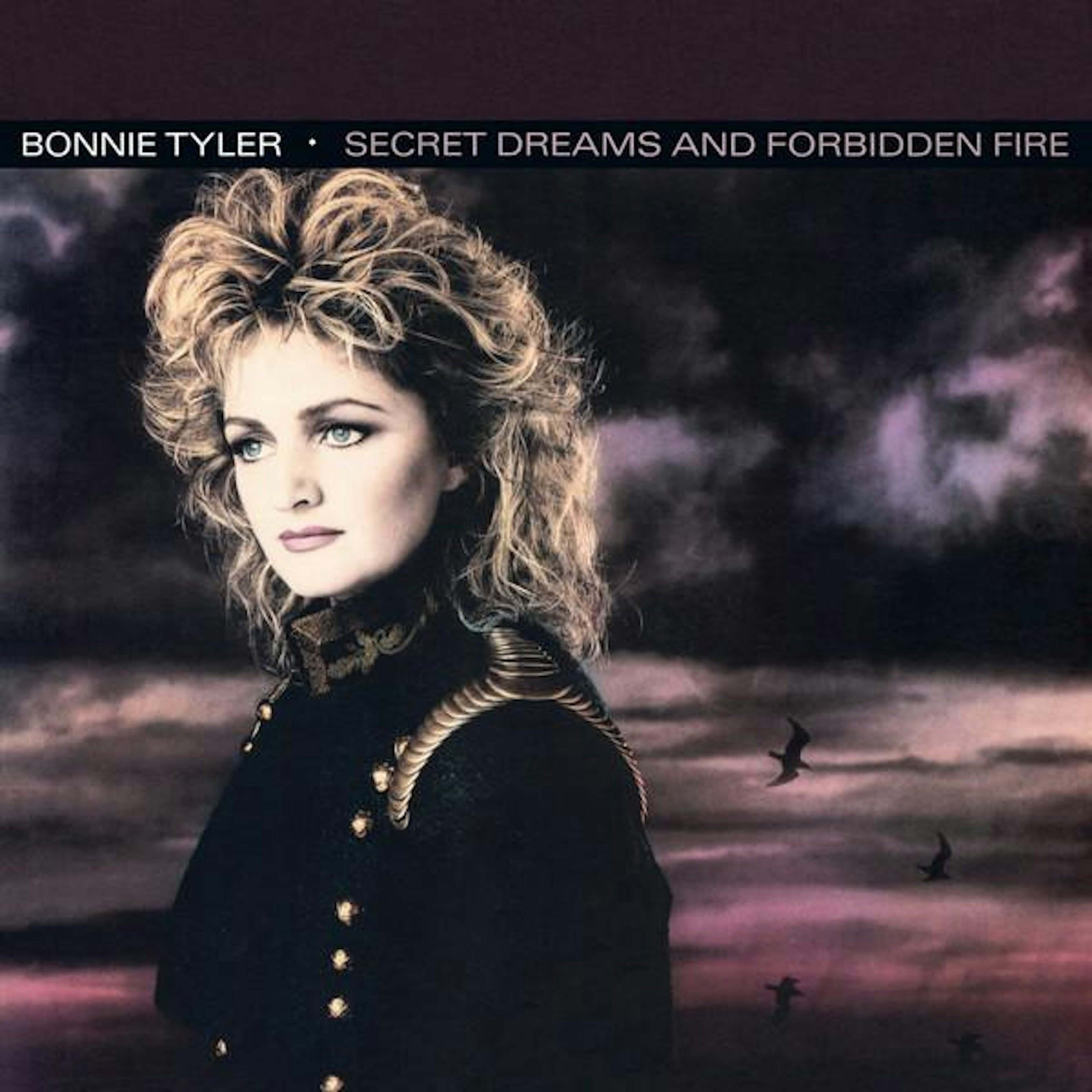 Bonnie Tyler Secret Dreams And Forbidden Fire Cd