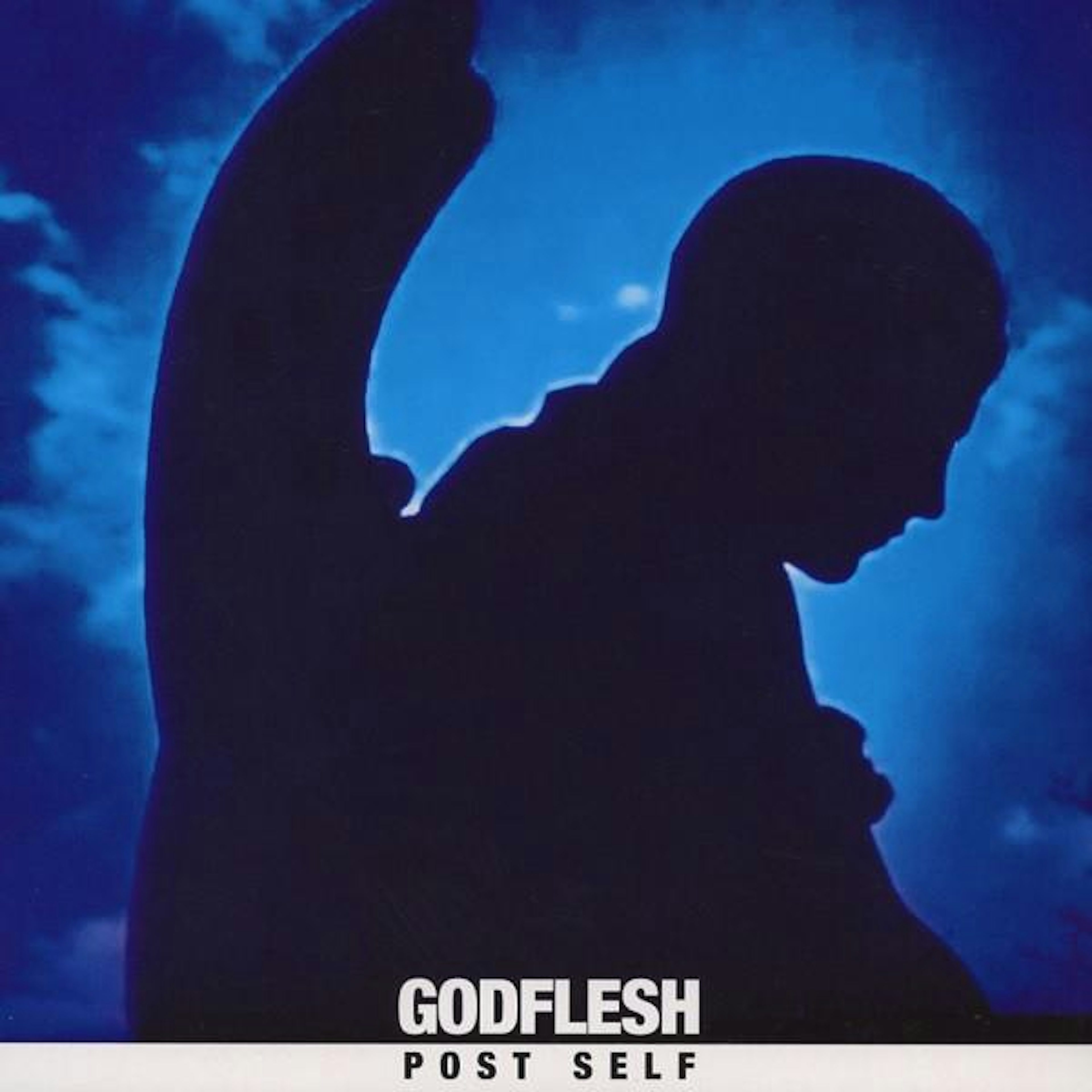 Godflesh POST SELF Vinyl Record