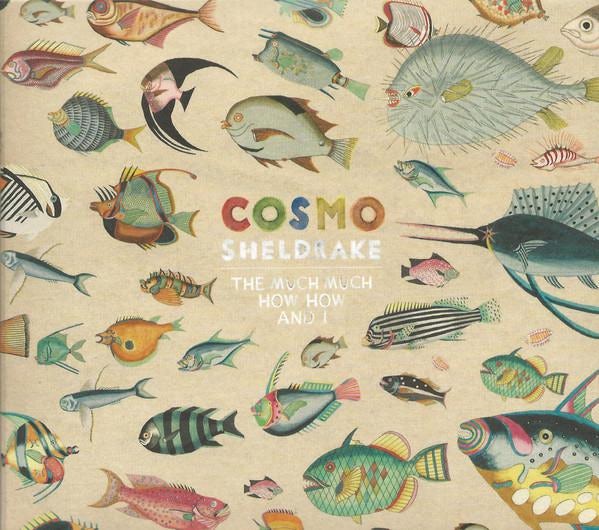 Cosmo Sheldrake Store: Official Merch & Vinyl