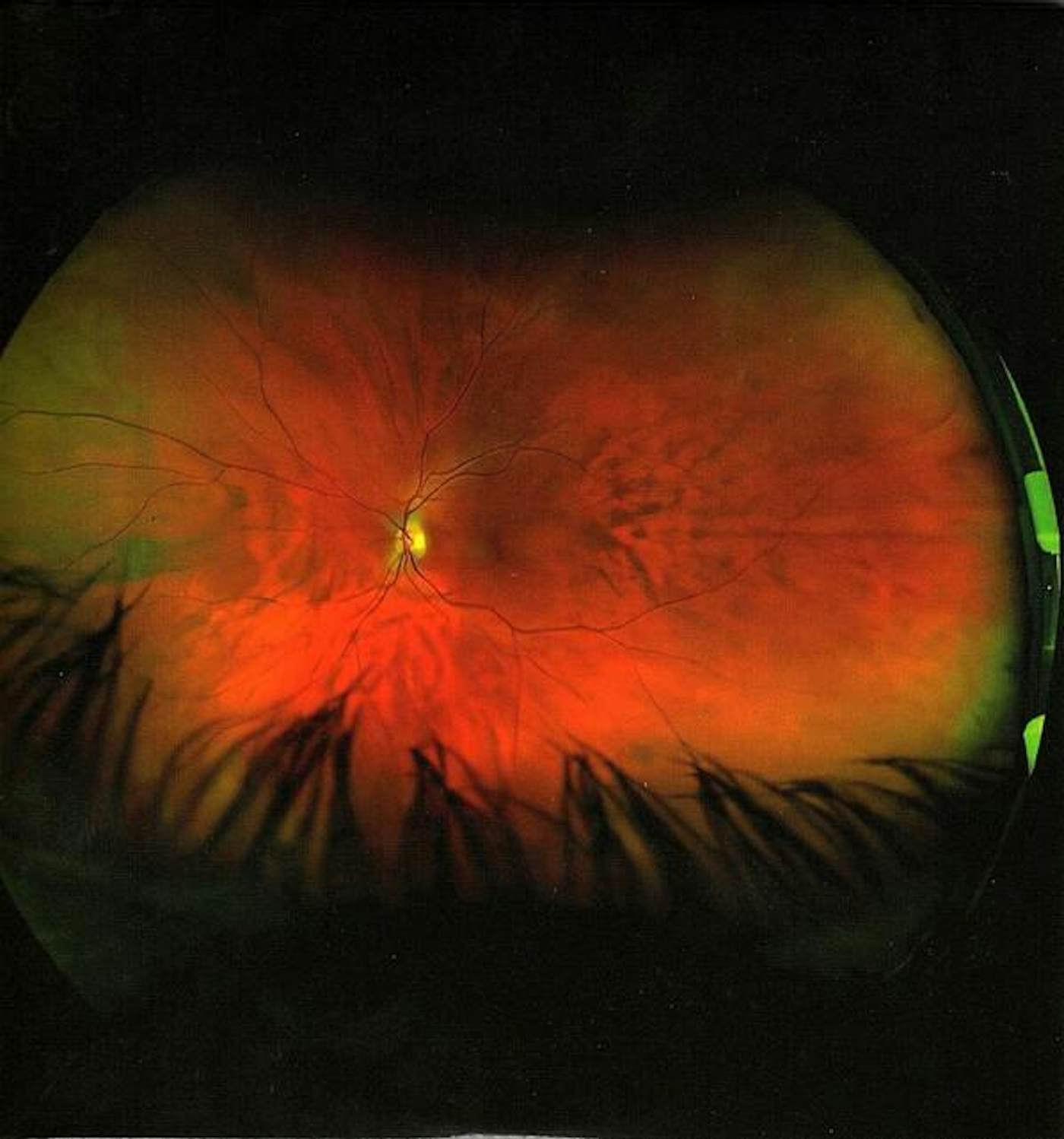 Greg Puciato MIRRORCELL CD