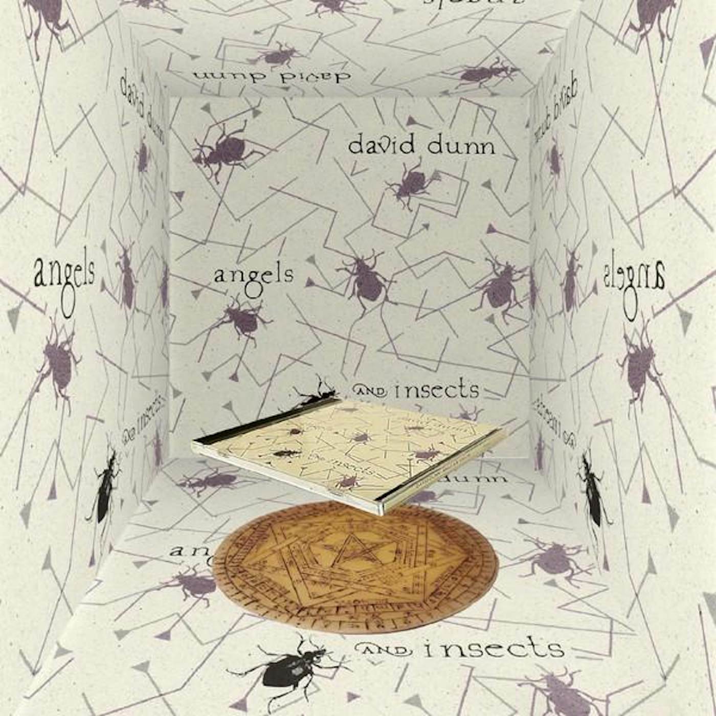 David Dunn ANGELS & INSECTS CD