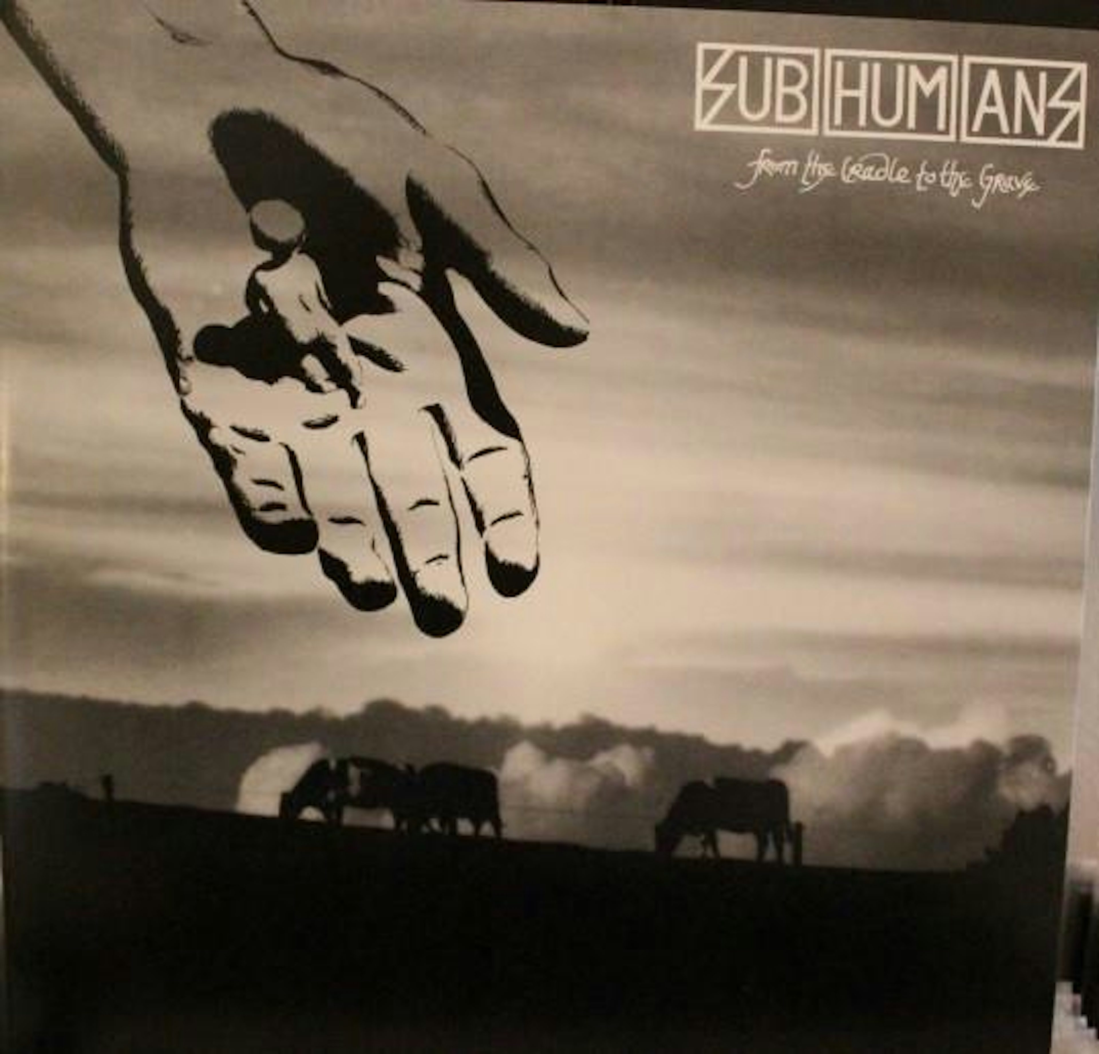 Subhumans FROM THE CRADLE TO THE GRAVE (RED VINYL) Vinyl Record