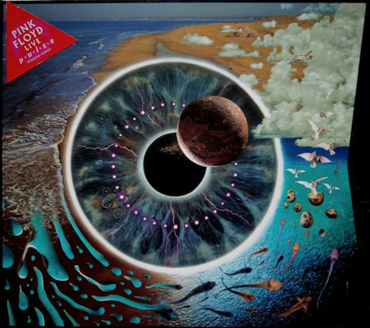 Pink Floyd PULSE (LIVE) - BRILLIANT BOX CD