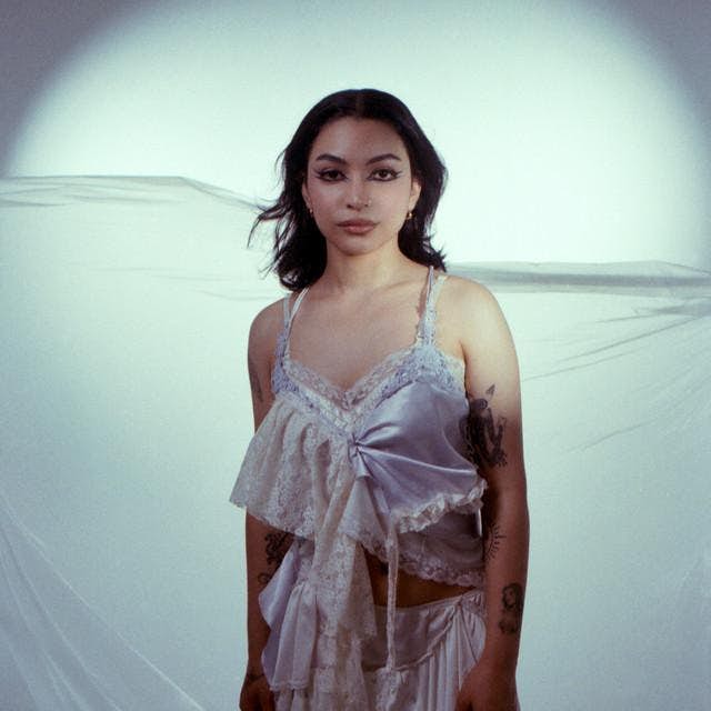 Ambar Lucid Garden of Lucid - Vinyl Record