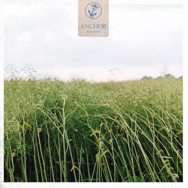 Anchor Store: Official Merch & Vinyl