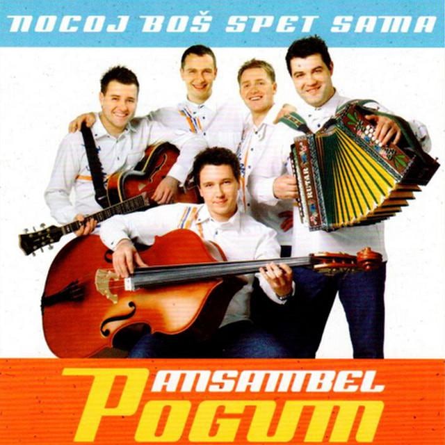 Ansambel Pogum Store: Official Merch & Vinyl