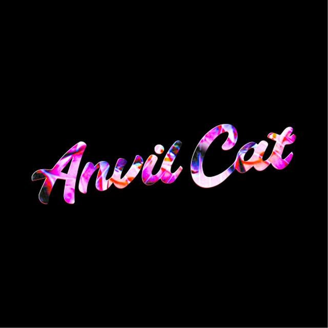Anvil Cat Store: Official Merch & Vinyl
