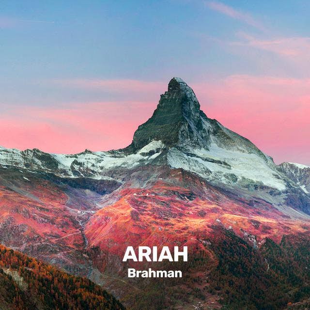 Ariah Shirts, Ariah Merch, Ariah Hoodies, Ariah vinyl records, Ariah ...