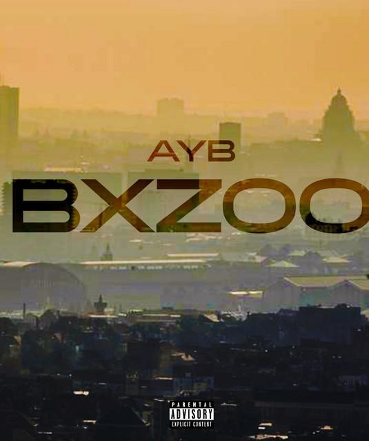 Ayb Store: Official Merch & Vinyl