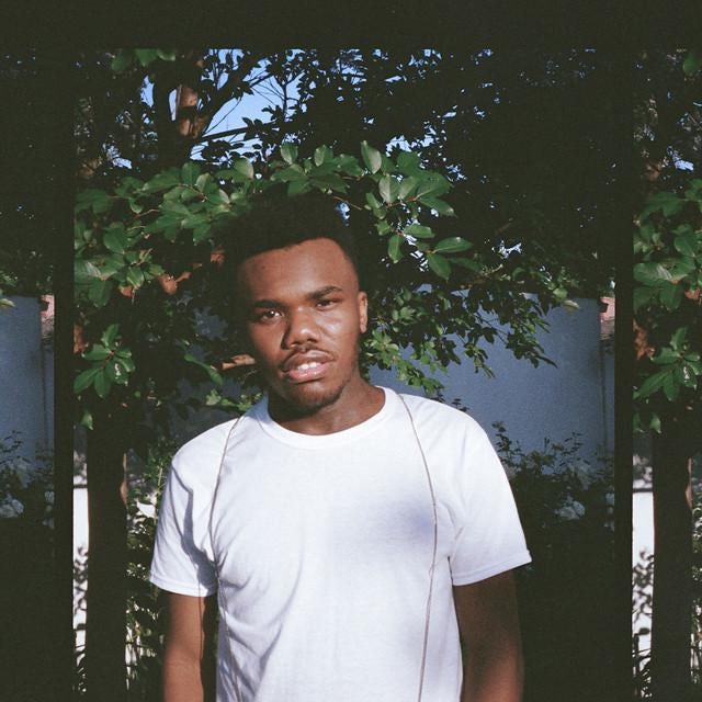 Baby Keem The Melodic Blue (2LP) (Explicit Content) Vinyl Record