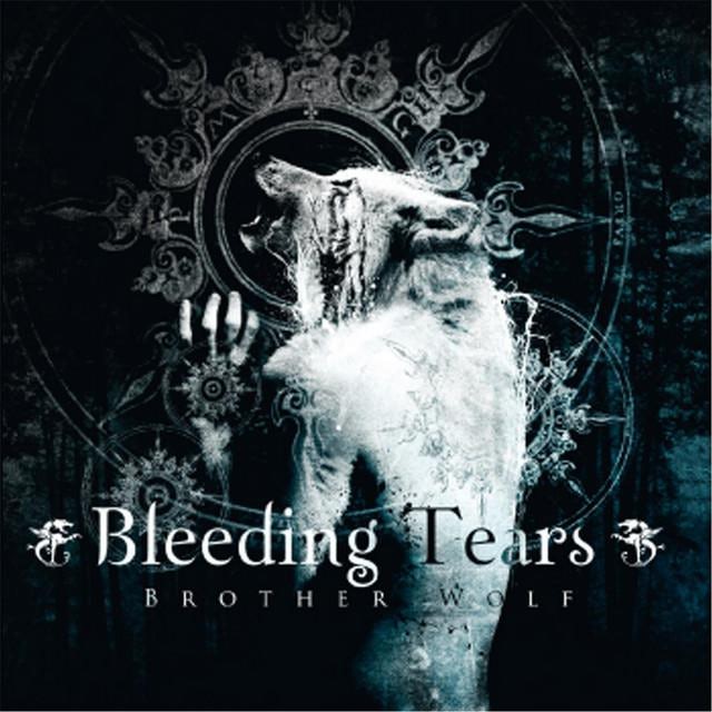 Bleeding Tears Store: Official Merch & Vinyl