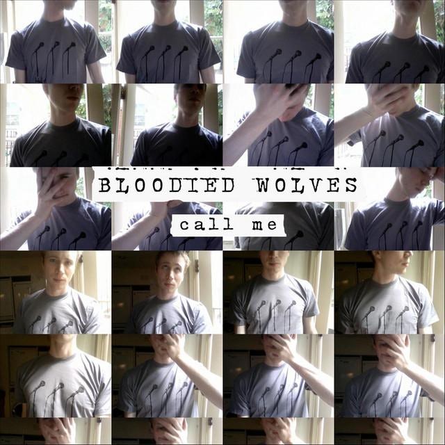 Bloodied Wolves Store: Official Merch & Vinyl