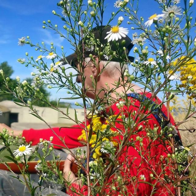 Bobb Trimble Store: Official Merch & Vinyl