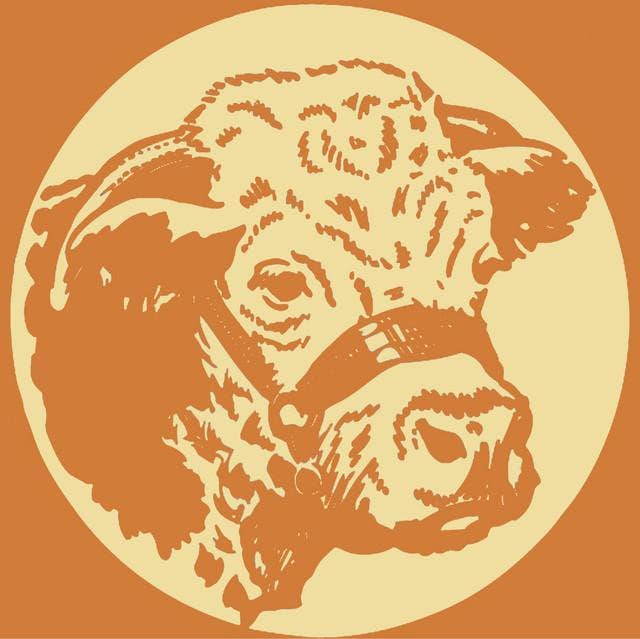 Cactus Lee Store: Official Merch & Vinyl