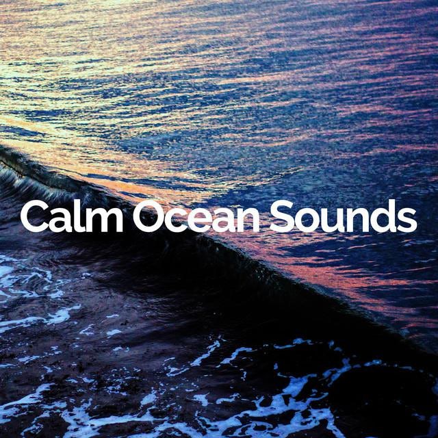 Calm Ocean Sounds Store: Official Merch & Vinyl