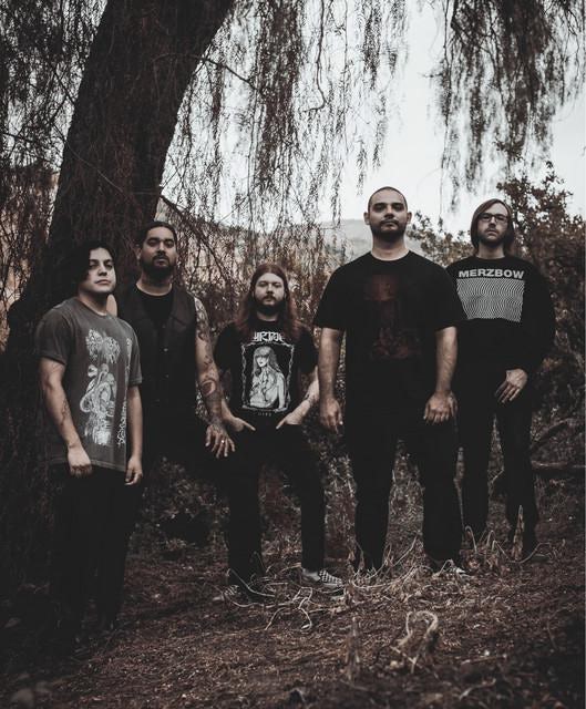 Civerous MAZE ENVY Vinyl Record