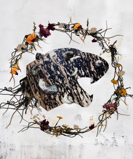 Code Orange Shirts, Code Orange Merch, Code Orange Hoodies, Code Orange ...