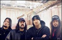 Damageplan Store: Official Merch & Vinyl