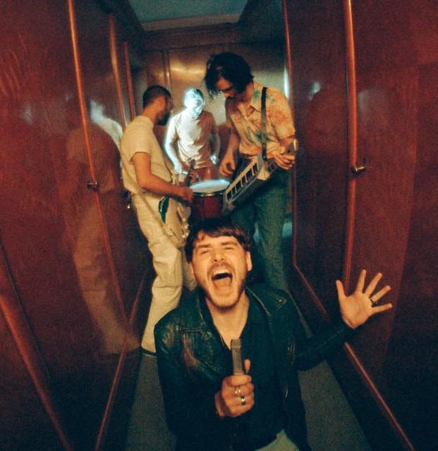 Das Moped Store: Official Merch & Vinyl