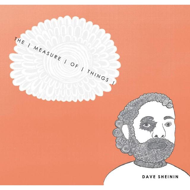 Dave Sheinin Store: Official Merch & Vinyl