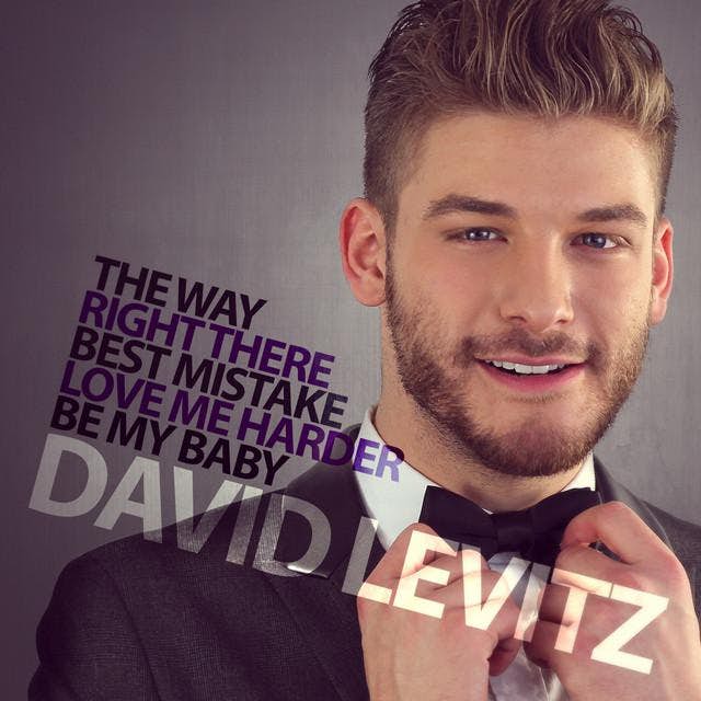 David Levitz Store: Official Merch & Vinyl