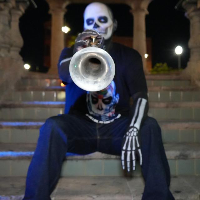 Decalifornia Store: Official Merch & Vinyl