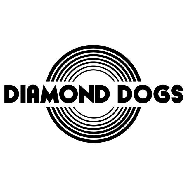 Diamond Dogs LP - Recall Rock 'N' Roll And The Magic Soul (Vinyl)