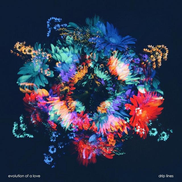 Drip Lines Store: Official Merch & Vinyl