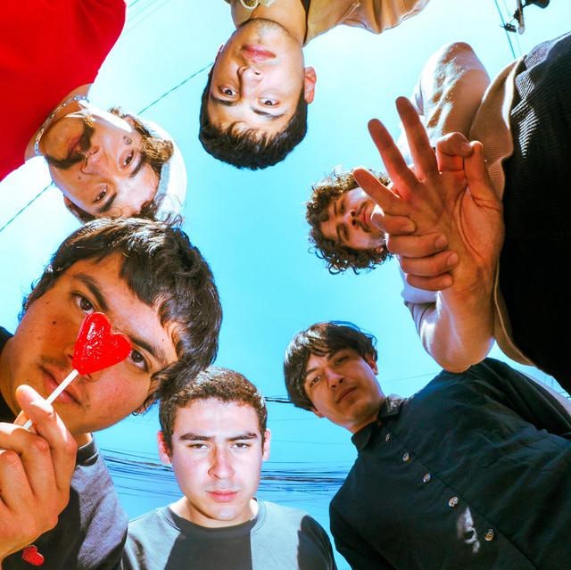 Duck Fizz Store: Official Merch & Vinyl