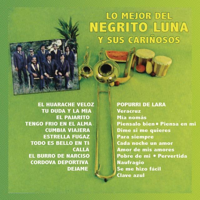 El Negrito Luna Store: Official Merch & Vinyl