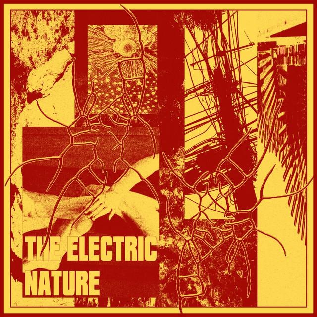 The Electric Nature Store: Official Merch & Vinyl