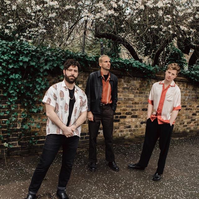 Foals Holy Fire 12" Vinyl