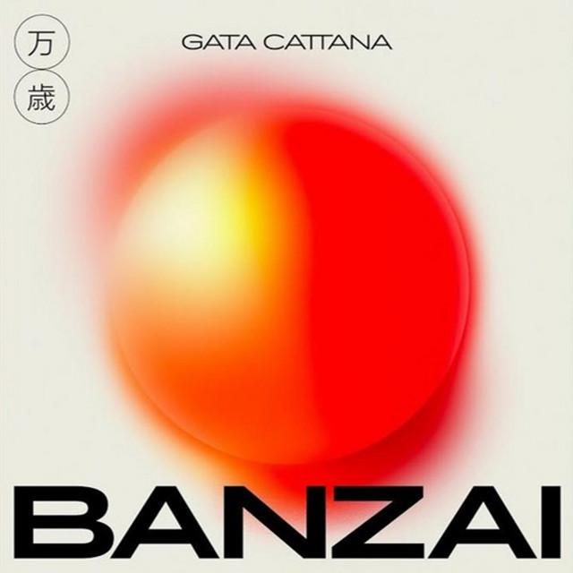 Gata Cattana Store: Official Merch & Vinyl