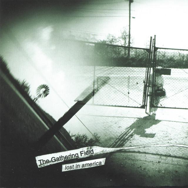 Gathering Field Store: Official Merch & Vinyl