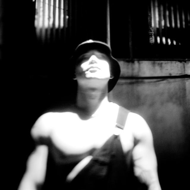 HAARPER Store: Official Merch & Vinyl