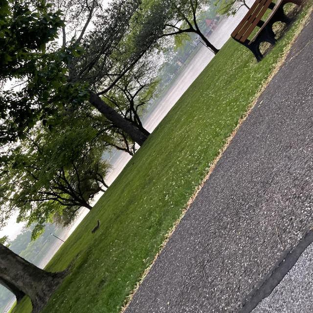 HB Store: Official Merch & Vinyl