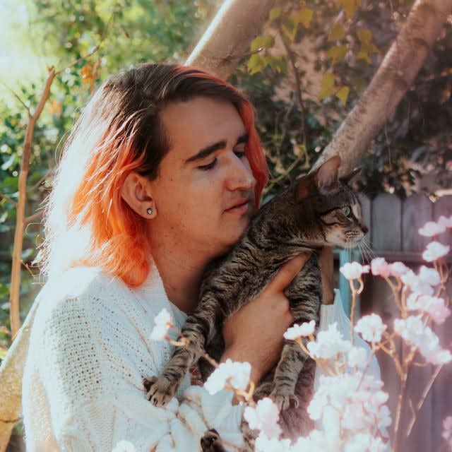 Hi, Mom! Store: Official Merch & Vinyl