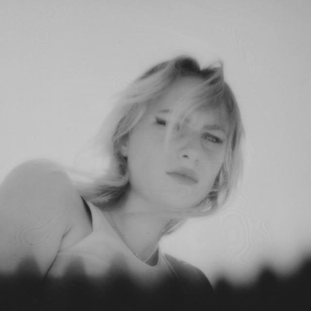 Hollis Howard Store: Official Merch & Vinyl