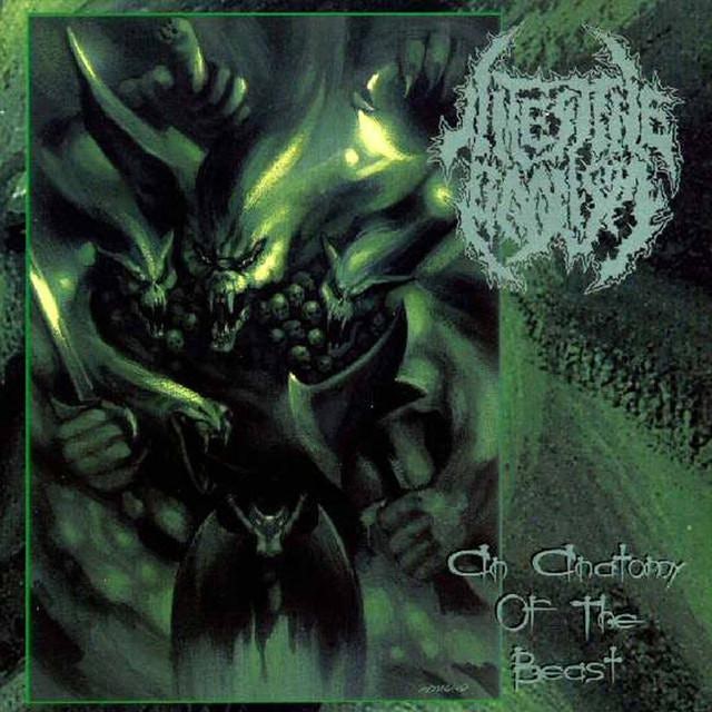 Intestine Baalism Store: Official Merch & Vinyl