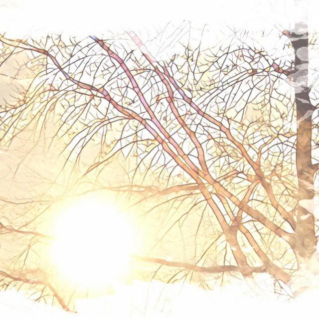 Jupiter Island Store: Official Merch & Vinyl