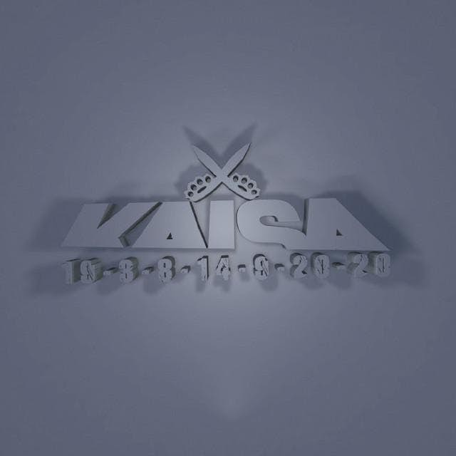 Kaisaschnitt Store: Official Merch & Vinyl