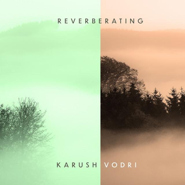 Karush Vodri Store: Official Merch & Vinyl