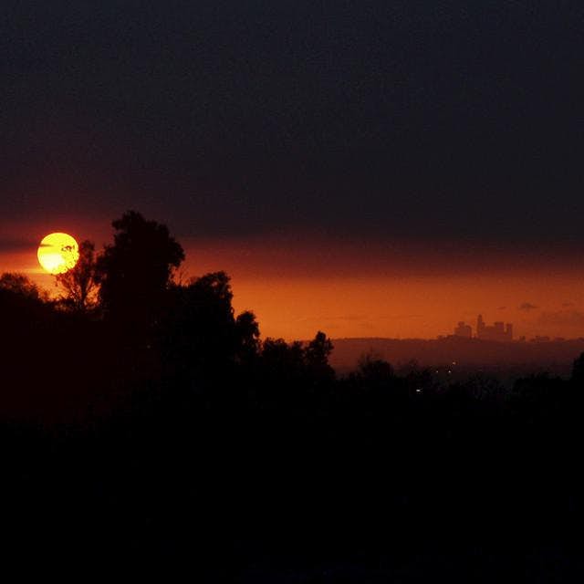 Last Rights Store: Official Merch & Vinyl