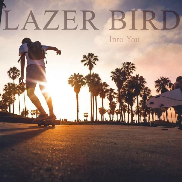 LAZER BIRD Store: Official Merch & Vinyl