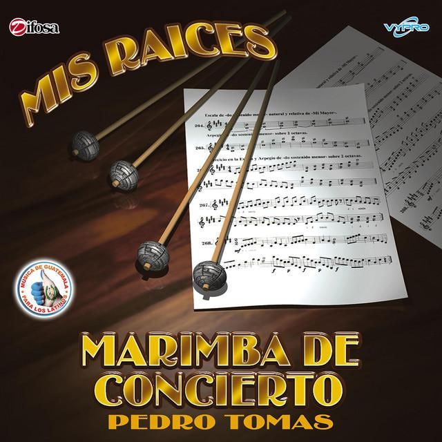 Marimba De Guatemala Merch and Vinyl | Merchbar