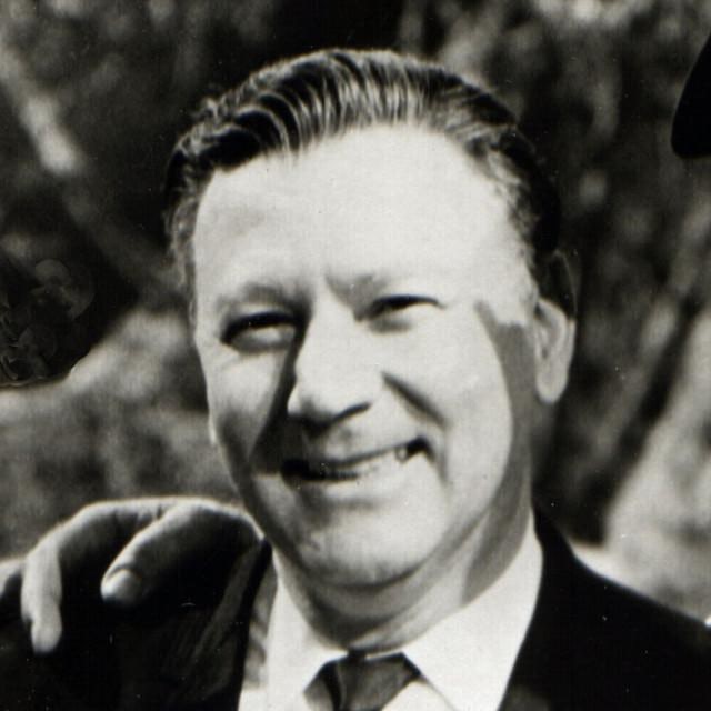 Martin Denny Primitiva Vinyl Record