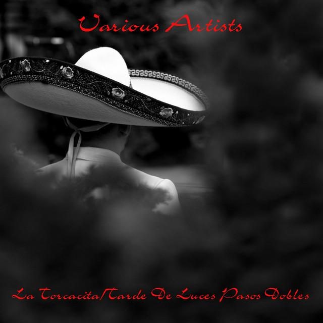 Matilde Sánchez Store: Official Merch & Vinyl